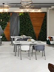 TISA | 600x600 porcelain tiles Supplier-Elephome Ceramics